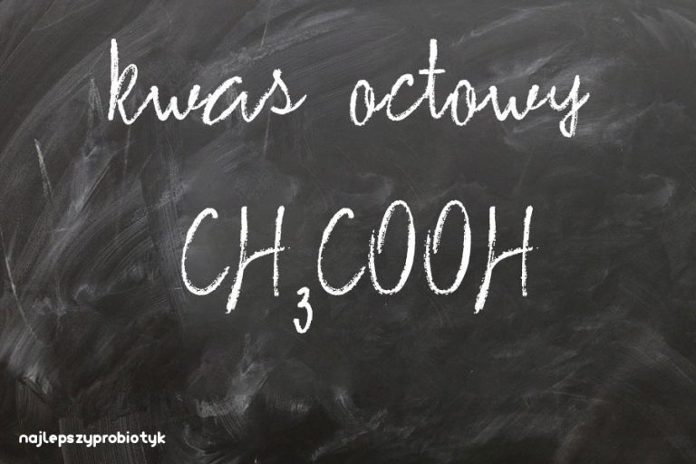 Kwas octowy - Najlepszy probiotyk